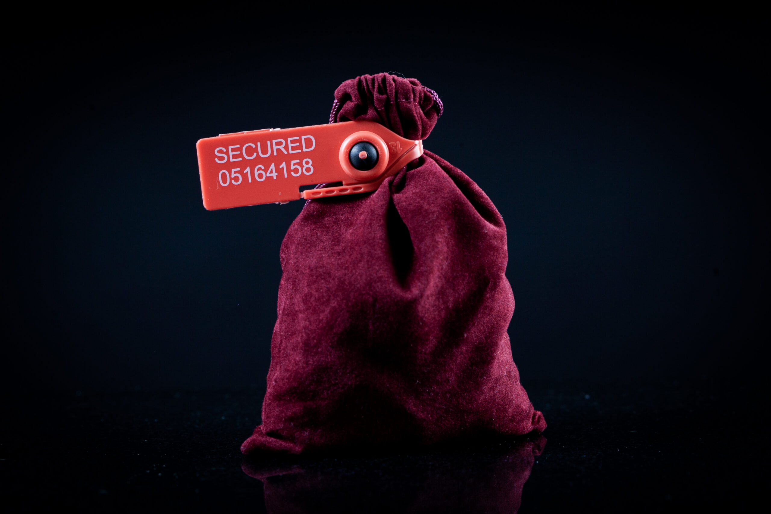 Americas Greatest Unsearched Vault Bags - Lincoln Treasury