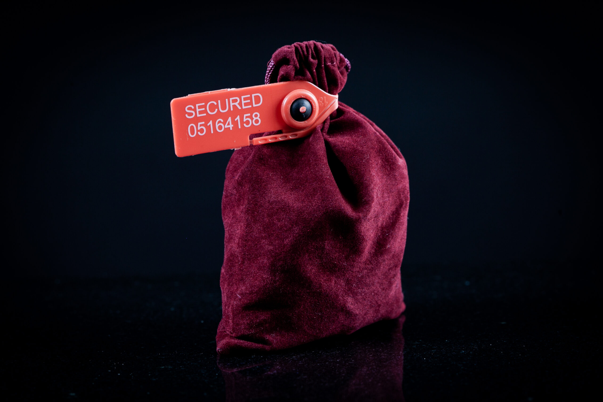 Americas Greatest Unsearched Vault Bags - Lincoln Treasury