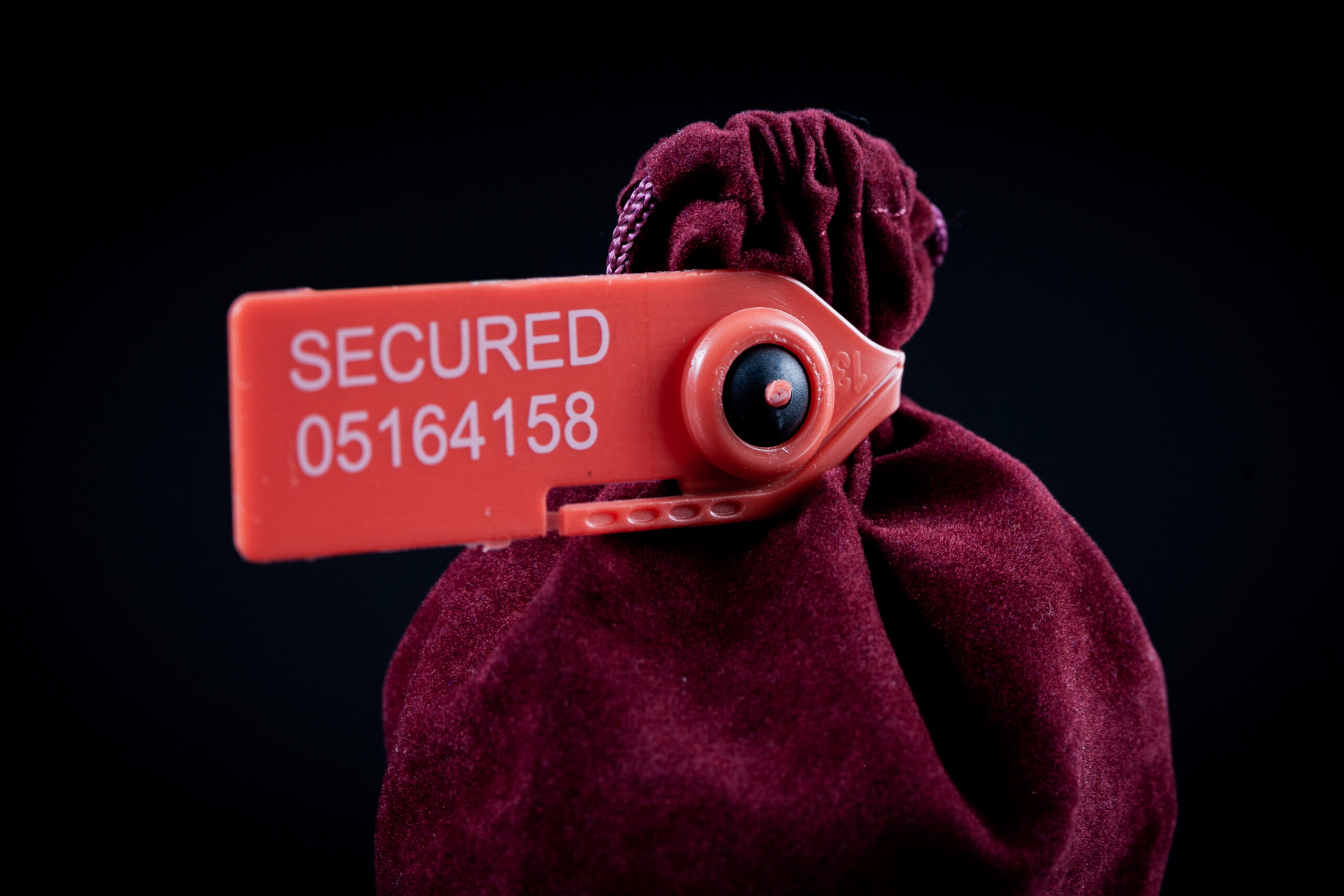 Americas Greatest Unsearched Vault Bags - Lincoln Treasury